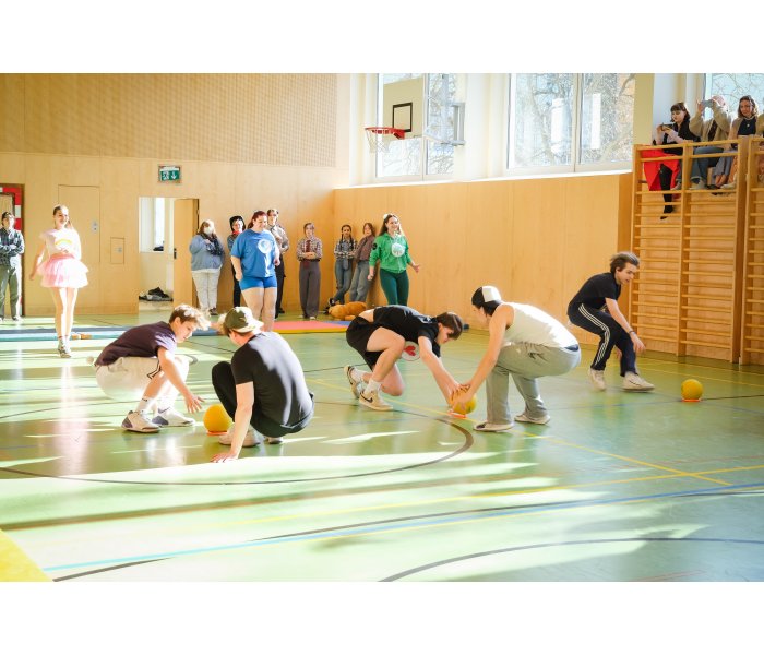 BORG Krems